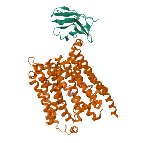RCSB PDB - 9J3N: ATP bound Chlamydia pneumoniae ATP/ADP translocator ...
