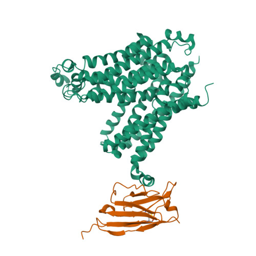 RCSB PDB - 9J3O: Chlamydia pneumoniae ATP/ADP translocator NTT1(Outward ...