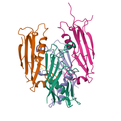 RCSB PDB - 9J46: Crystal structure of ASFV E146L