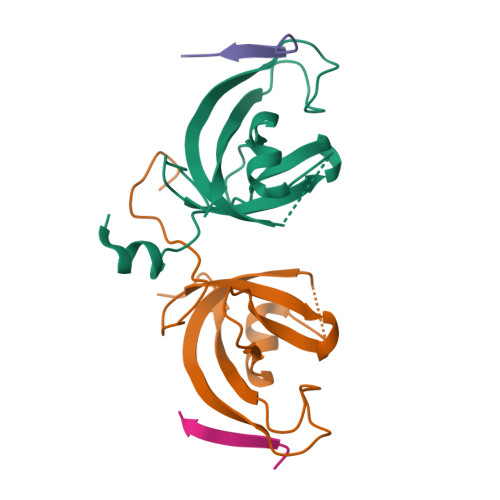 RCSB PDB - 9J54: Crystal structure of FIP200 Claw in complex with ATG16L1