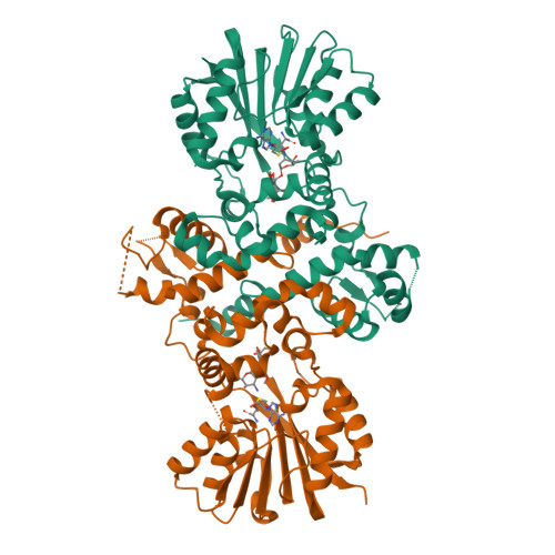 RCSB PDB - 9J56: Functional Investigation of the SAM-Dependent ...