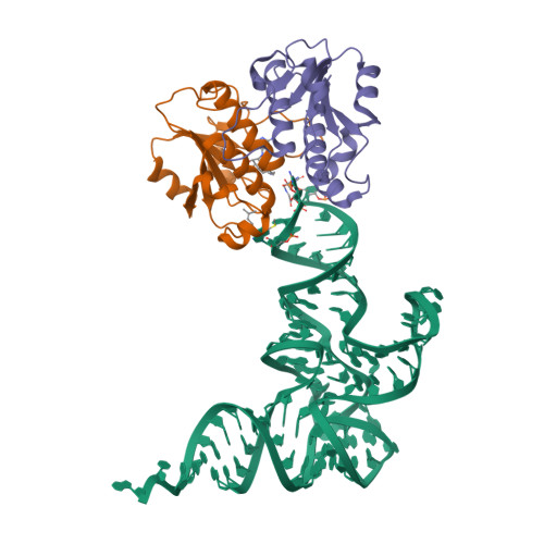 RCSB PDB - 9J5P: Crystal structure of B. subtilis CspR complexed with ...