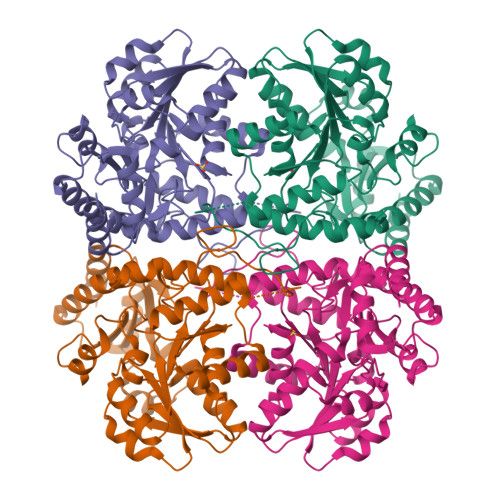 RCSB PDB - 9J7P: Crystal structure of S. aureus MccB mutant S323A