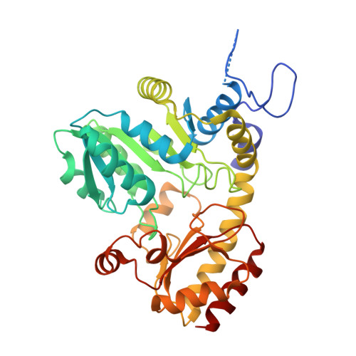 RCSB PDB - 9J7P: Crystal structure of S. aureus MccB mutant S323A