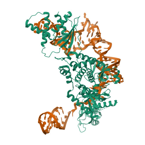 RCSB PDB - 9J8P: Cryo-EM structure of human TUT1 complexed with U6 snRNA