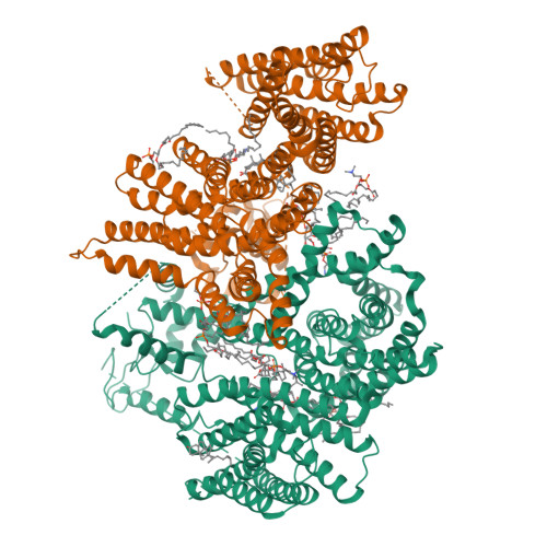 RCSB PDB - 9JBE: Cryo-EM structure of the human LYCHOS in complex with ...
