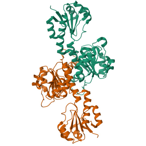 RCSB PDB - 9JCM: Crystal structure of Zea mays 3-phosphoglycerate ...