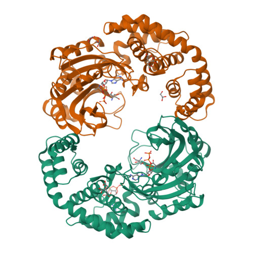 RCSB PDB - 9JDN: Crystal structure of alanyl-tRNA synthetase L219M ...