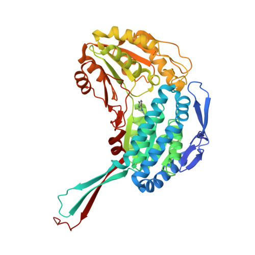 RCSB PDB - 9JEM: Co-crystal structure of PHBDD-L163G with product N ...