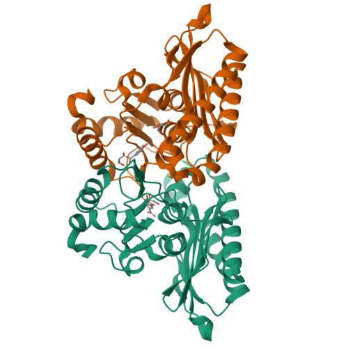 RCSB PDB - 9JFC: Crystal structure of Pseudomonas aeruginosa SuhB ...