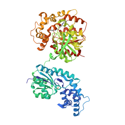 RCSB PDB - 9JFM: Co-crystal Structure of sEH with tetrahydroberberine ...