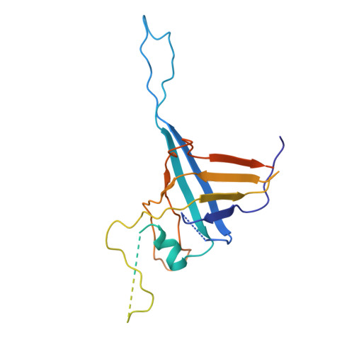 RCSB PDB - 9JGH: cryo-EM structure of the TTP polymer at the tube's end