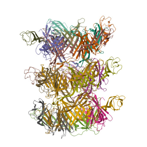 RCSB PDB - 9JGI: Architecture of a pentameric assembly of the tube tail ...