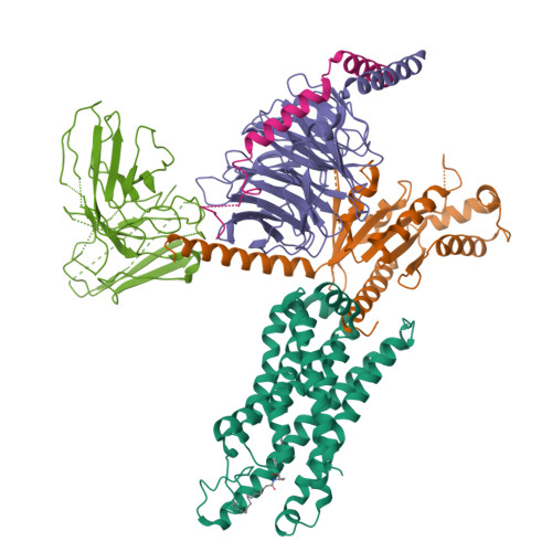 RCSB PDB - 9JHJ: Cryo-EM structure of the C18:0 ceramide-bound FPR2-Gi ...