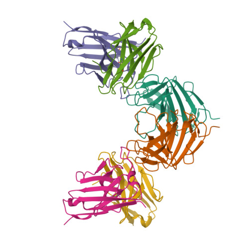 RCSB PDB - 9JIF: Hepatitis E virus capsid protein E2s domain (genotype ...