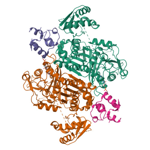 RCSB PDB - 9JJB: Class 1 state of the GfsA KSQ-ancestralAT chimeric ...