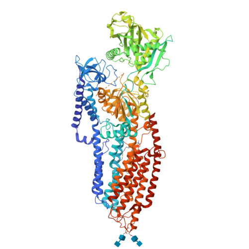 RCSB PDB - 9JJK: putative MgE1 of human TMEM94