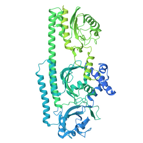RCSB PDB - 9JLB: Cryo-EM structure of phyB-PIF6beta complex