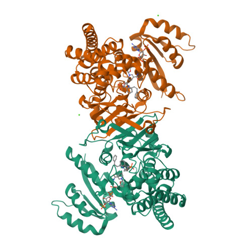 RCSB PDB - 9JOB: PfDXR - Mn2+ - NADPH - MAMK89 quaternary complex