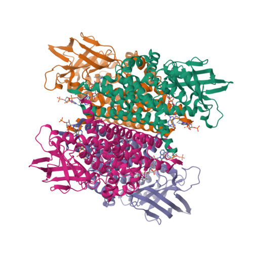 RCSB PDB - 9JQ4: Structure of human IVD in complex with FAD and butyryl-CoA