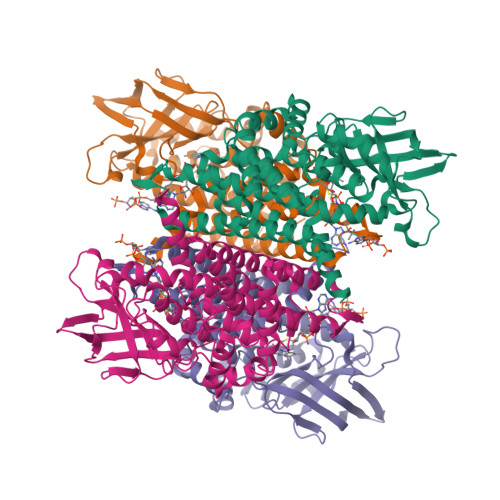 RCSB PDB - 9JQ5: Structure of human IVD in complex with FAD and ...