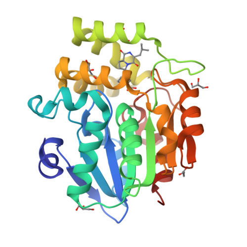 RCSB PDB - 9JQG: Crystal structure of rice DWARF14 in complex with ...