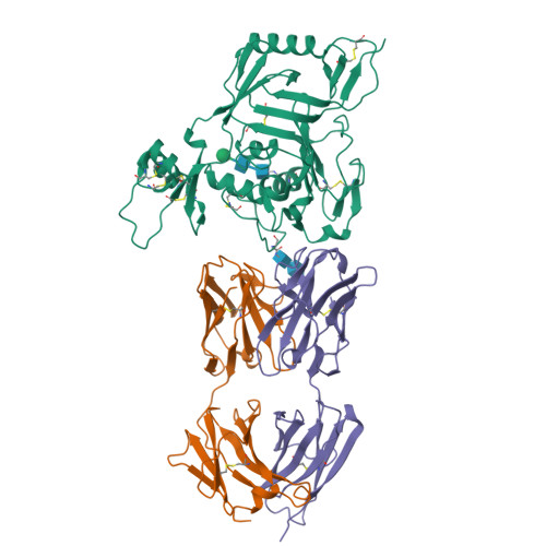 RCSB PDB - 9JQU: The crystal structure of SFTSV Gn and SD4 antibody complex