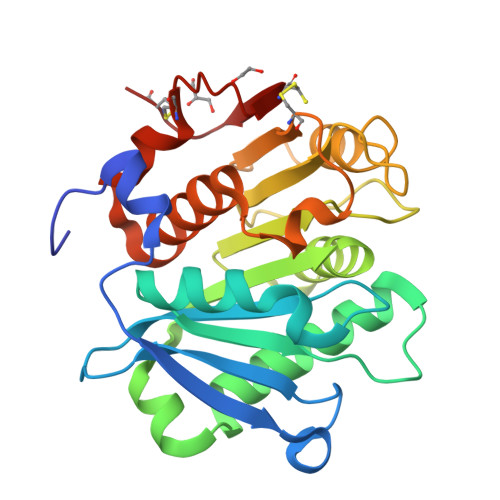 RCSB PDB - 9JQW: The Crystal Structure of LCC6-Active from Biortus