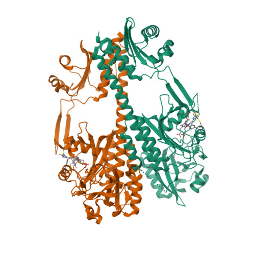RCSB PDB - 9JRY: Crystal structure of FiDCB, a dual-cysteine ...