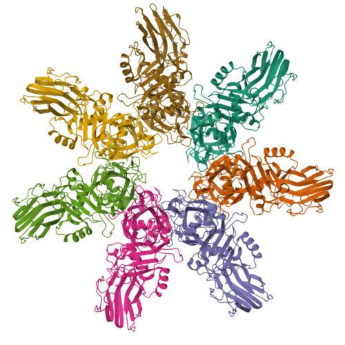 RCSB PDB - 9JSN: Clostridium perfringens iota toxin pore Ib in prepore ... RCSB PDB - 9JSN: Clostridium perfringens iota toxin pore Ib in prepore ...