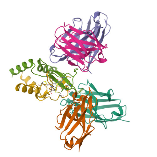 RCSB PDB - 9JT1: Structure of HBsAg in complex with FabHBC and FabGC1102