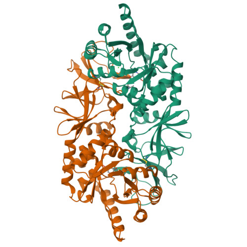 RCSB PDB - 9JT7: SFX reaction state structure (0-60min) of alanine racemase