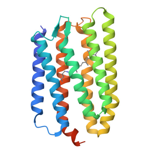 RCSB PDB - 9JWS: Haloquadratum walsbyi middle rhodopsin