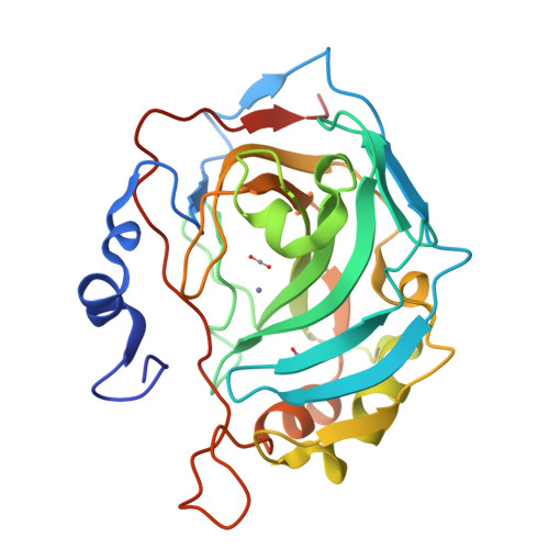 RCSB PDB - 9JWW: T200H Carbonic Anhydrase II pH 7.8 20 atm CO2
