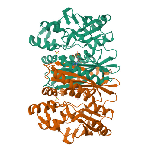 RCSB PDB - 9K01: Crystal structure of Pyrococcus abyssi AIR synthetase ...