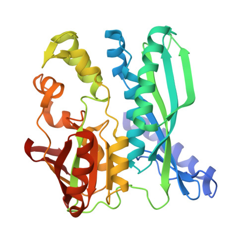 RCSB PDB - 9K01: Crystal structure of Pyrococcus abyssi AIR synthetase ...