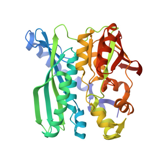 RCSB PDB - 9K05: Crystal structure of Pyrococcus abyssi AIR synthetase ...