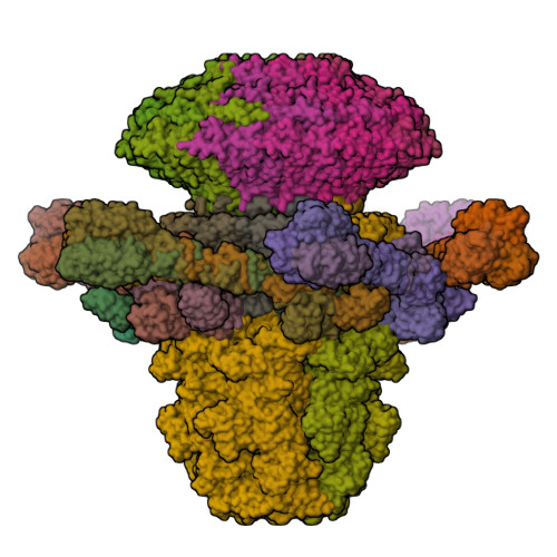 RCSB PDB - 9K09: Cyanophage A4 portal-tail complex