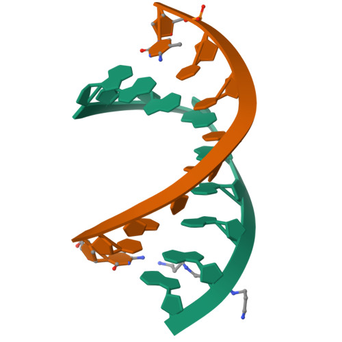 RCSB PDB - 9K7R: Crystal structure of DNA/RNA duplex obtained using the ...