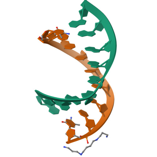 RCSB PDB - 9K8Z: Crystal structure of DNA/RNA duplex obtained using the ...