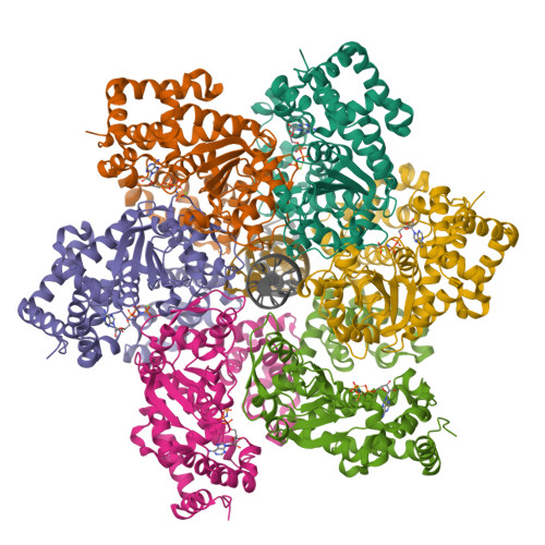 RCSB PDB - 9KAE: CryoEM structure of LTag bound to SV40 EP half origin DNA