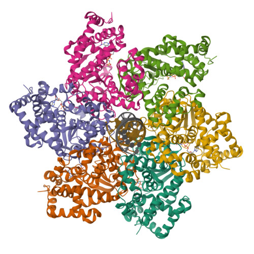 RCSB PDB - 9KAK: CryoEM structure of LTag bound to SV40 AT half origin DNA