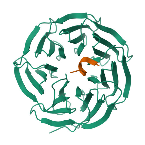 RCSB PDB - 9KD4: Structure of WDR5 in complex with WIN motif containing ...