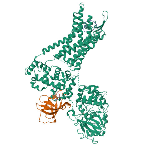 RCSB PDB - 9KDF: CryoEM structure of Calcineurin-fusion Human ...