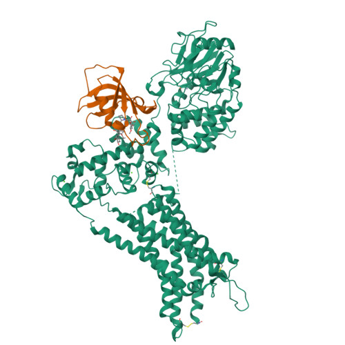 RCSB PDB - 9KDG: CryoEM structure of Calcineurin-fusion Human ...