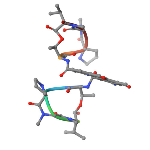 RCSB PDB - 9KDO: The structure of 2 ACTD bound to RNA polymerase II ...