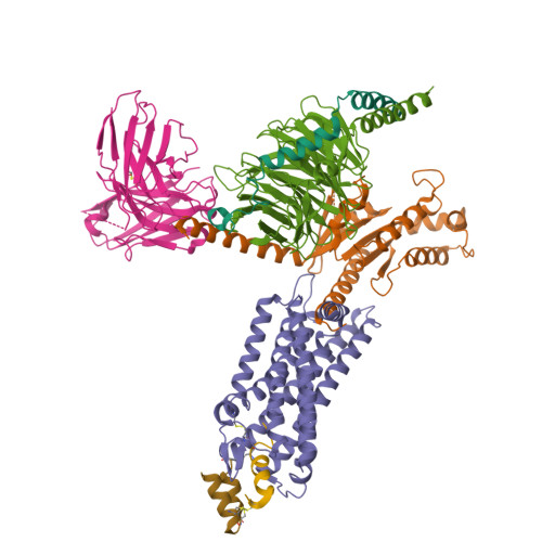 RCSB PDB - 9KFK: Cryo-EM structure of the relaxin-3-bound human relaxin ...