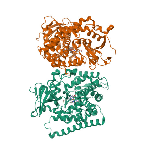 RCSB PDB - 9KGP: The structure of natural P450BM3-H derived from ...