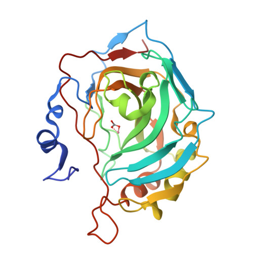 RCSB PDB - 9KH8: Co-Carbonic Anhydrase II complexed with 3NPA before UV ...