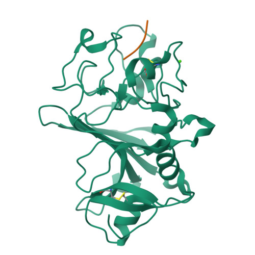 RCSB PDB - 9KHC: Crystal structure of wild-type human fibrinogen gamma ...